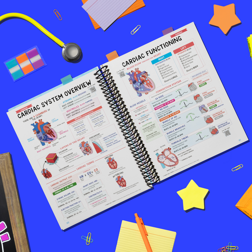 Nursing School Success Bundle – Nurse Well Versed