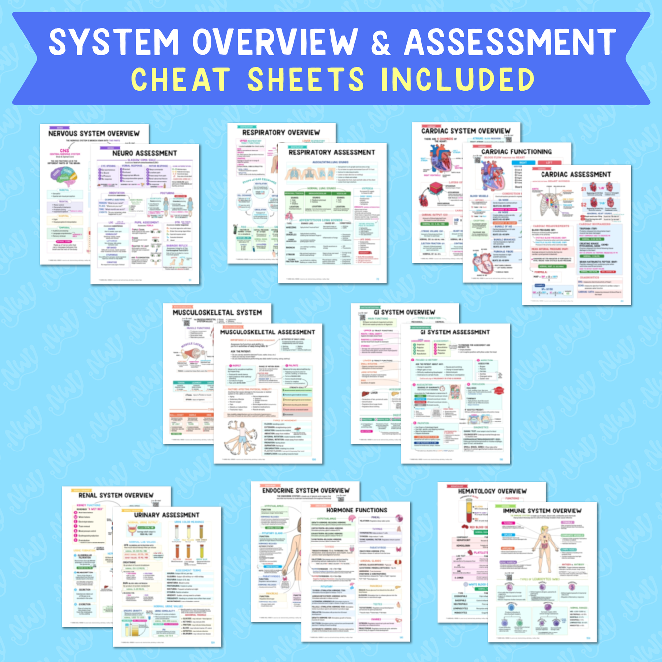 Med Surg Nursing Notes Bundle – Nurse Well Versed