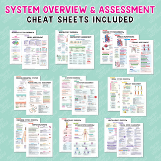 Nursing School Success Bundle | Digital E-Book – Nurse Well Versed™